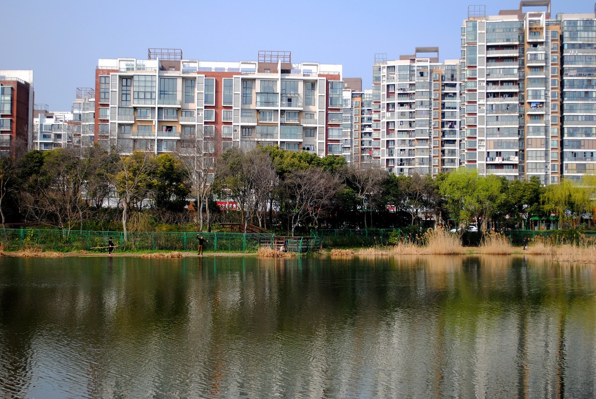 新江湾公园的春天-中关村在线摄影论坛