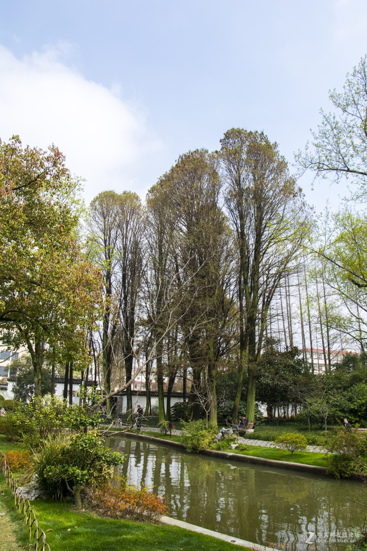 醉白池掠影-中关村在线摄影论坛