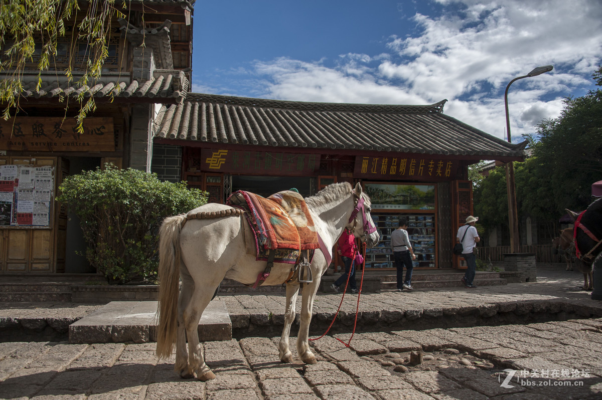 云南束河古镇-中关村在线摄影论坛