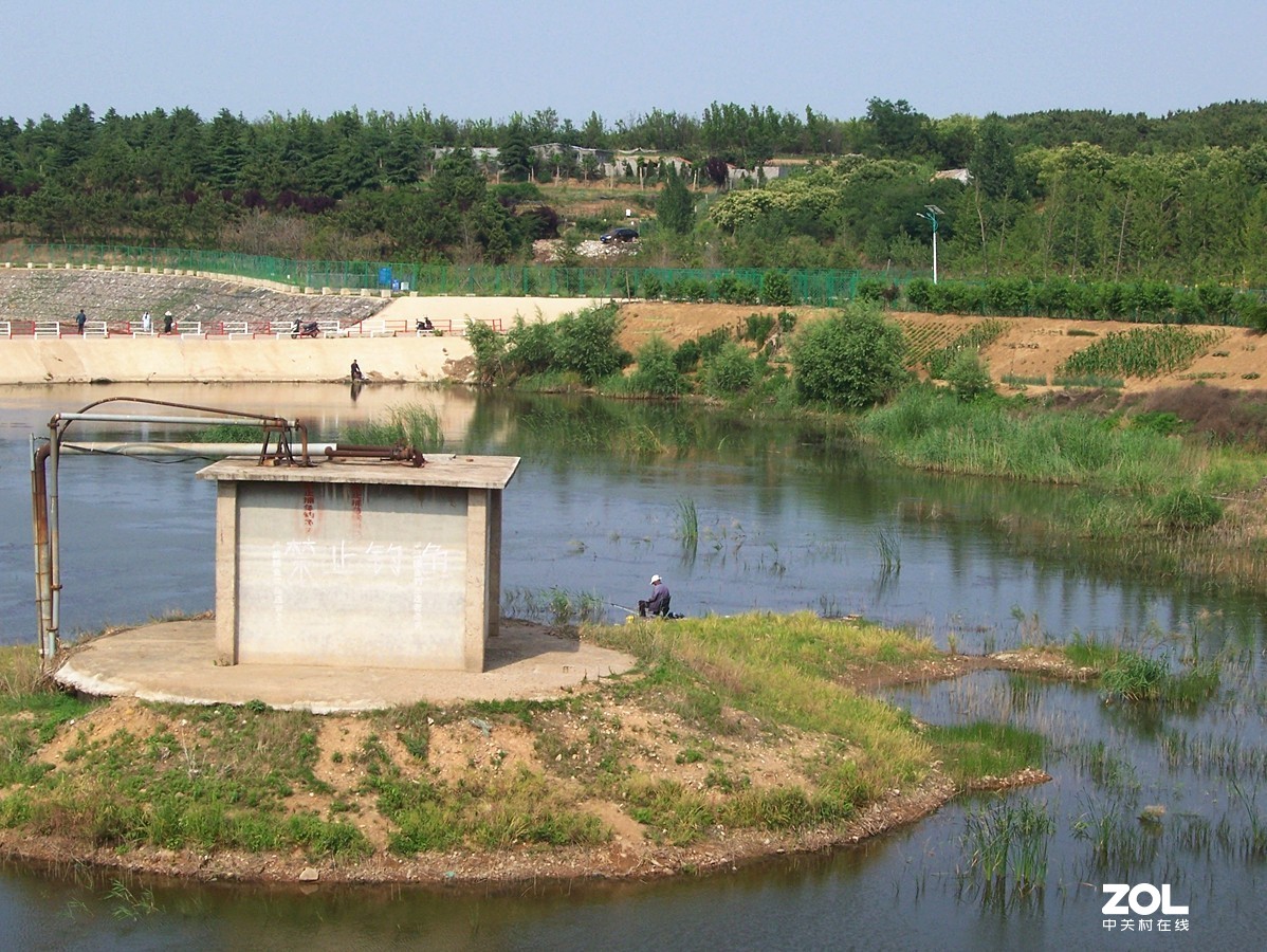 『C663夏日湖边掠影』123...12P-中关村在线摄影论坛