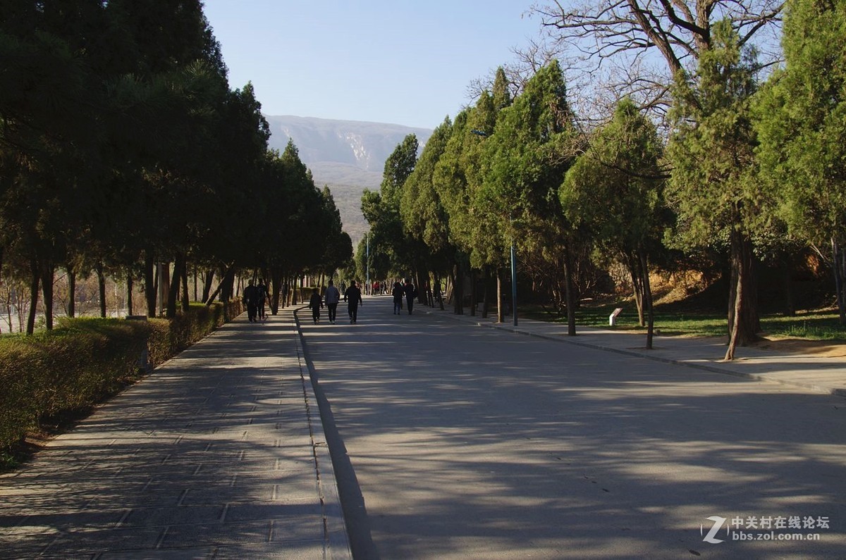 『少林寺游记--2』123...15P-中关村在线摄影论坛