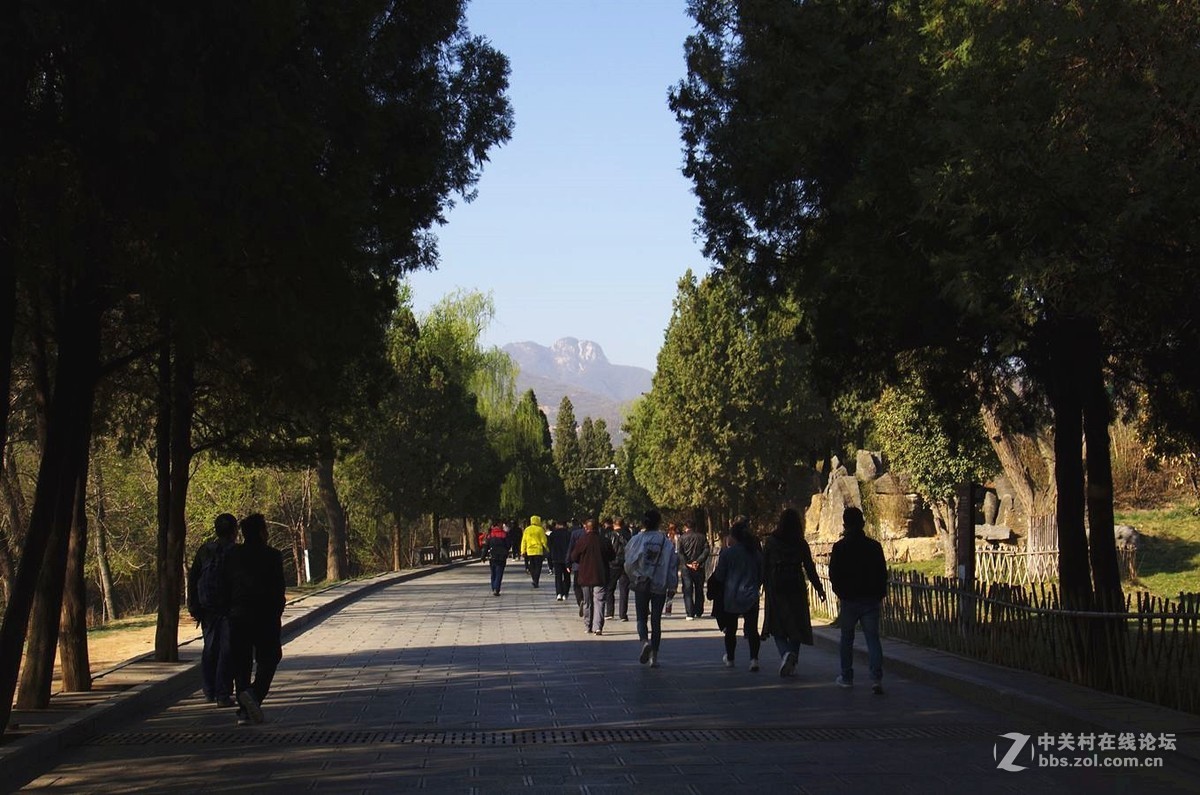 『少林寺游记--2』123...15P-中关村在线摄影论坛