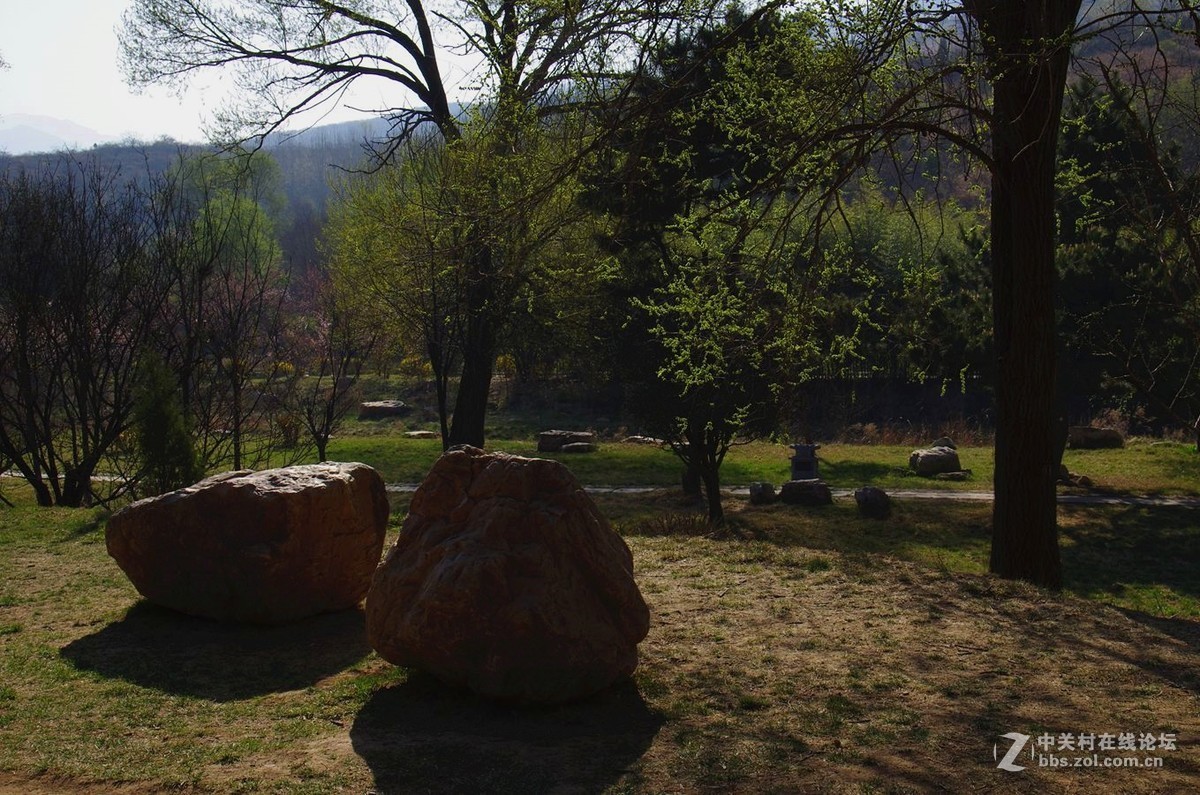 『少林寺游记--2』123...15P-中关村在线摄影论坛