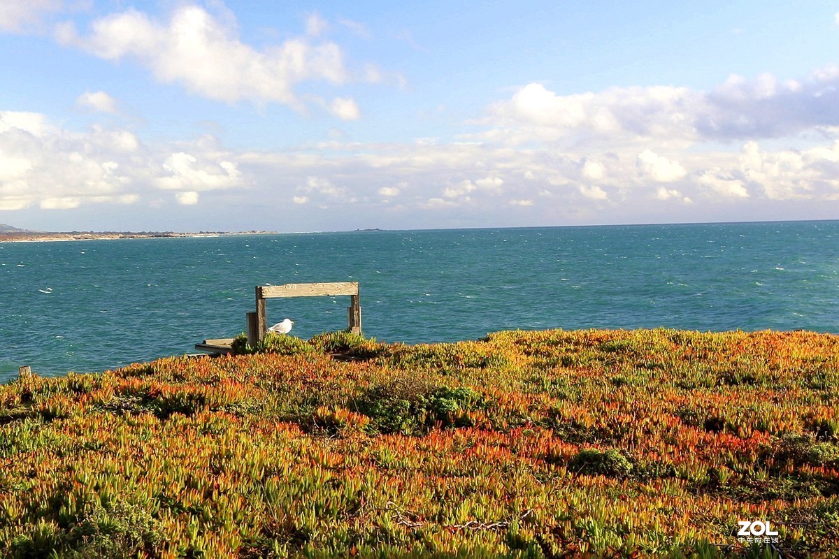 鸽点灯塔Pigeon Point-中关村在线摄影论坛