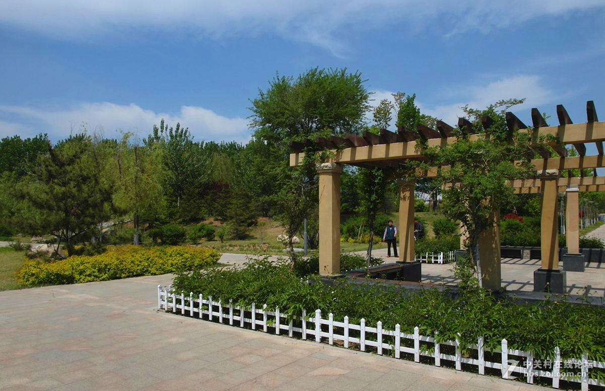 『五一节公园速写续』123...12P-中关村在线摄影论坛