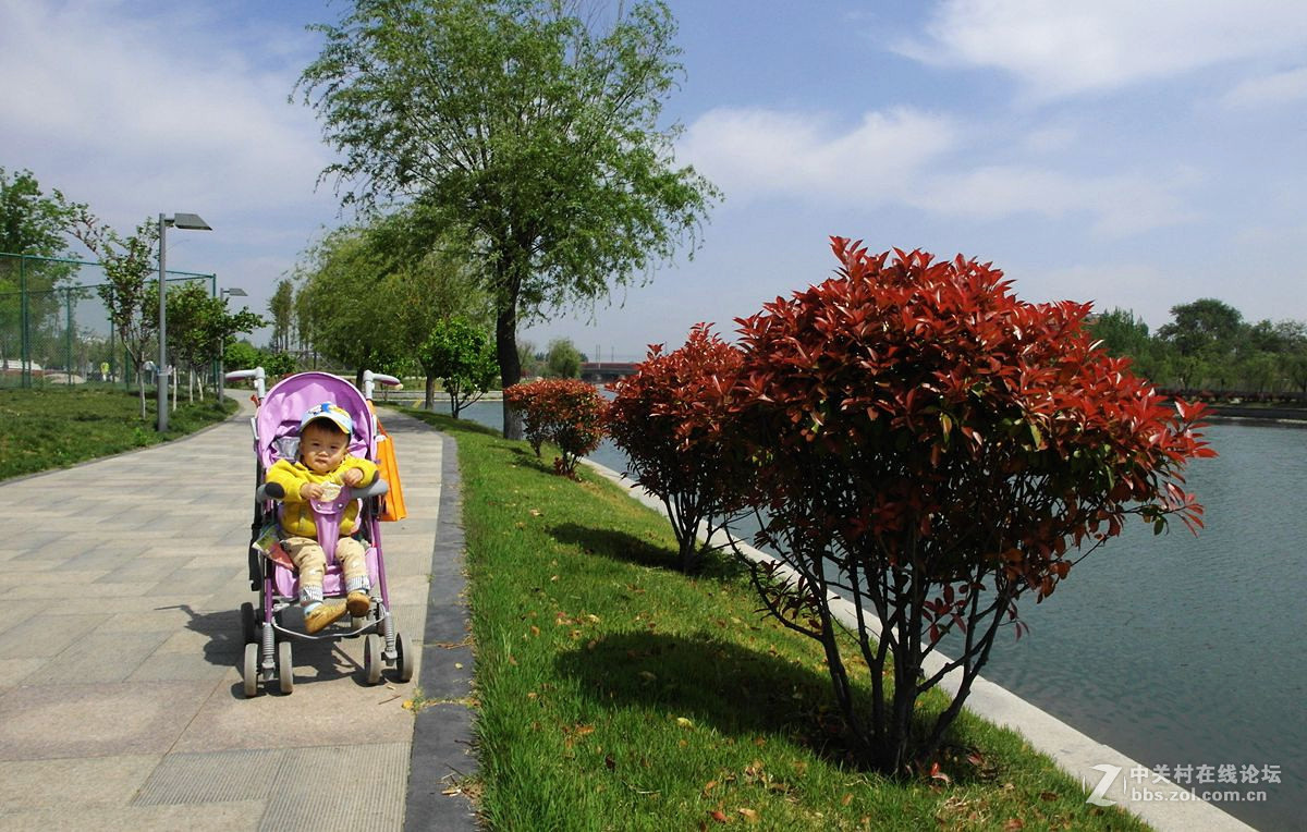 『五一节公园速写续』123...12P-中关村在线摄影论坛