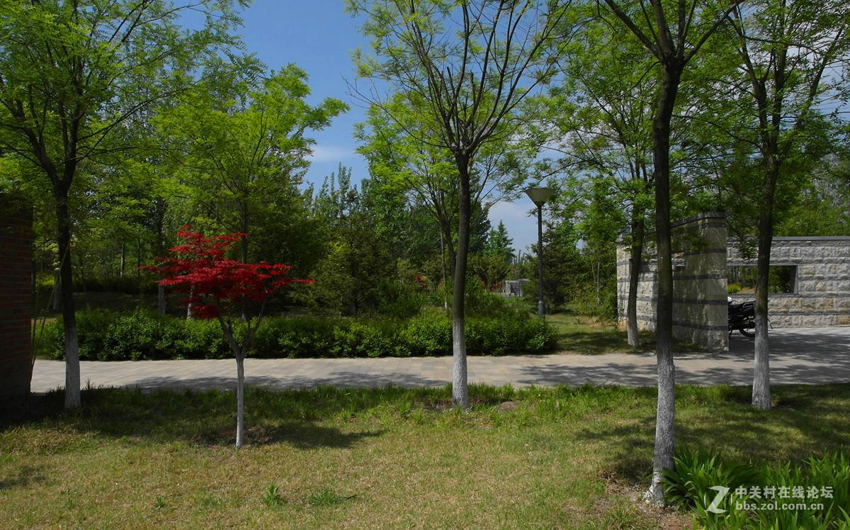 『五一节公园速写续』123...12P-中关村在线摄影论坛