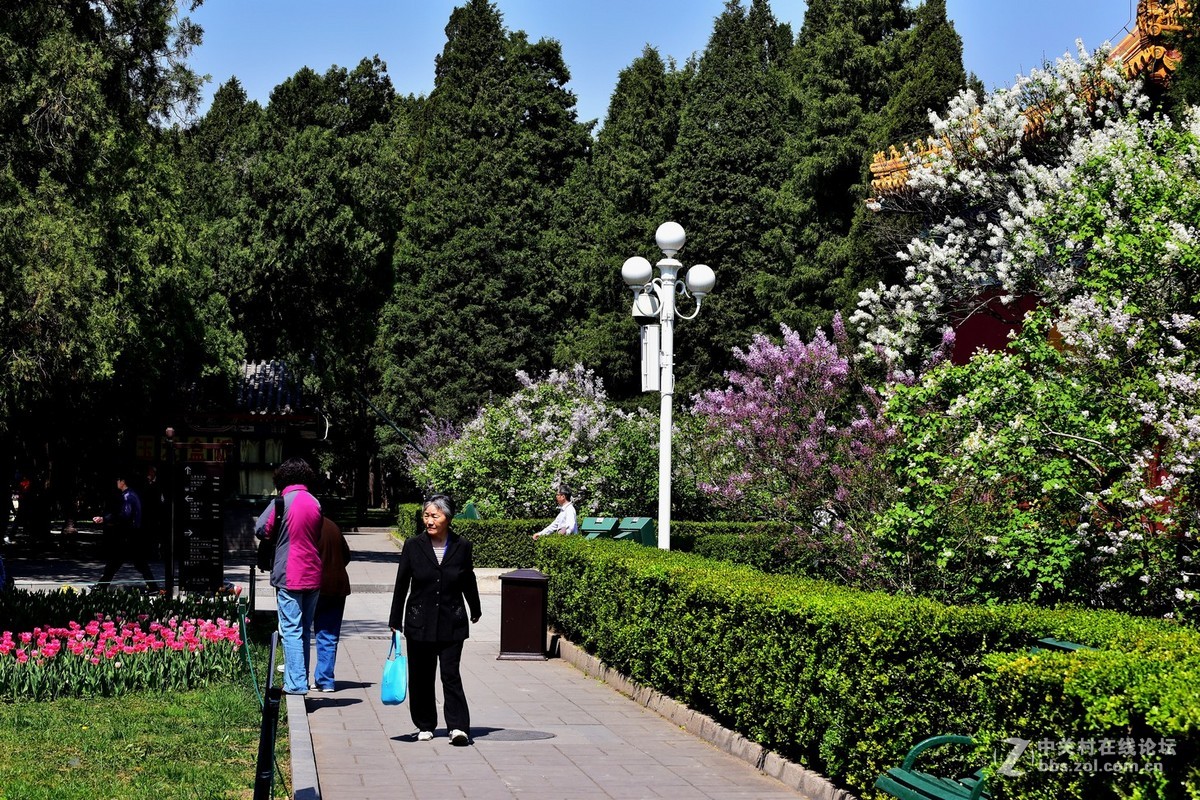 春日中山公园风景-中关村在线摄影论坛