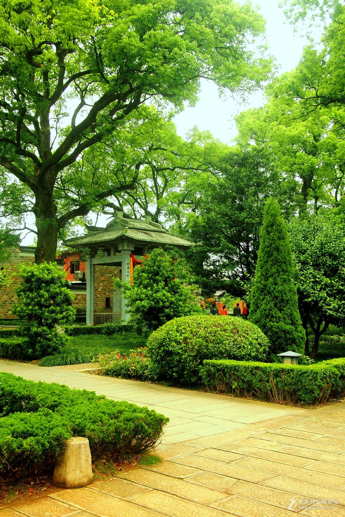 几张风景杂拍-中关村在线摄影论坛