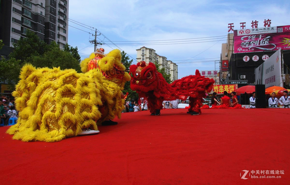 『舞狮』123...13P-中关村在线摄影论坛