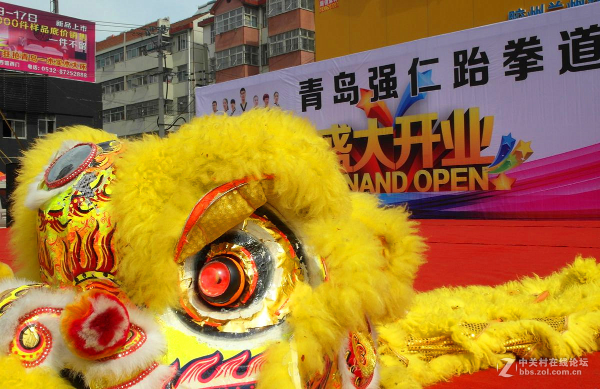 『舞狮』123...13P-中关村在线摄影论坛