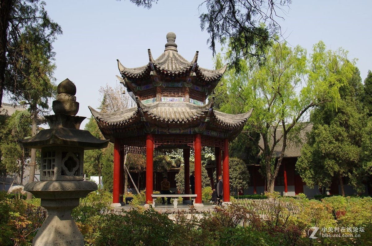 『洛阳白马寺--3』123...15P-中关村在线摄影论坛