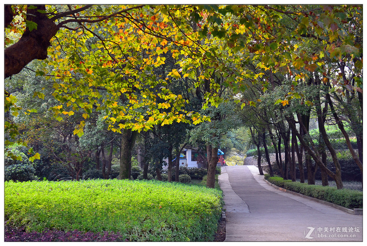 【生态摄影】君山岛风光-中关村在线摄影论坛