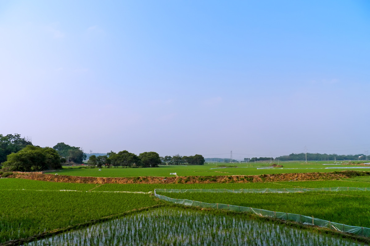 2015柯达Z990---行摄-中关村在线摄影论坛