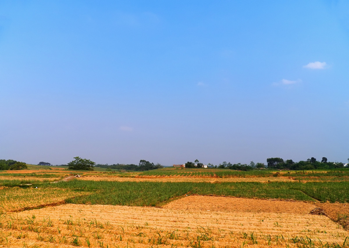 2015柯达Z990---行摄-中关村在线摄影论坛