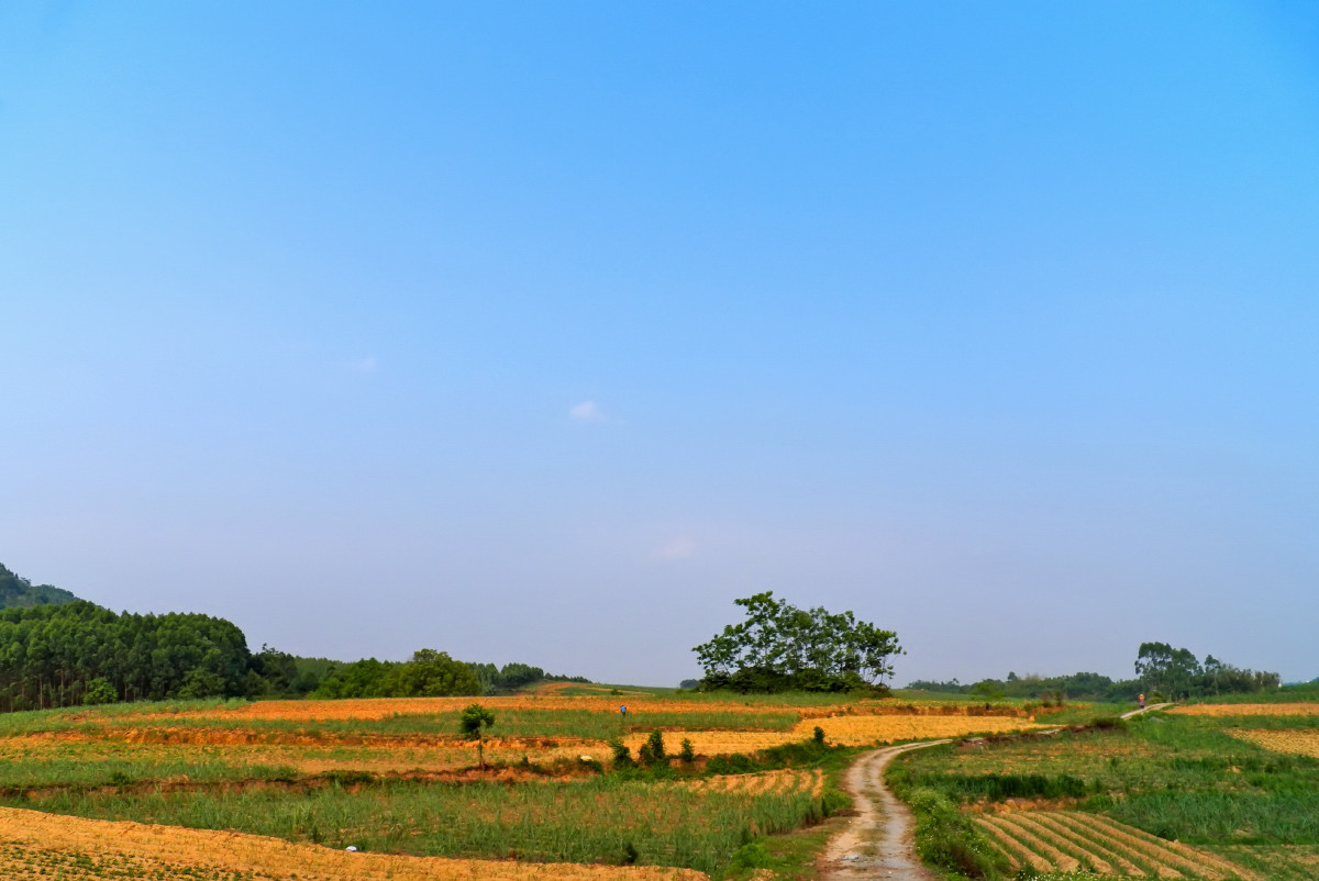 2015柯达Z990---行摄-中关村在线摄影论坛