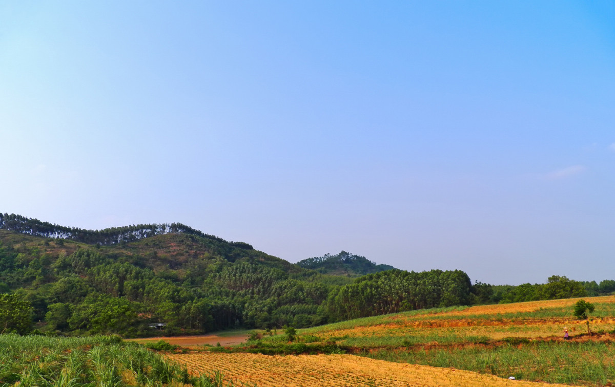 2015柯达Z990---行摄-中关村在线摄影论坛