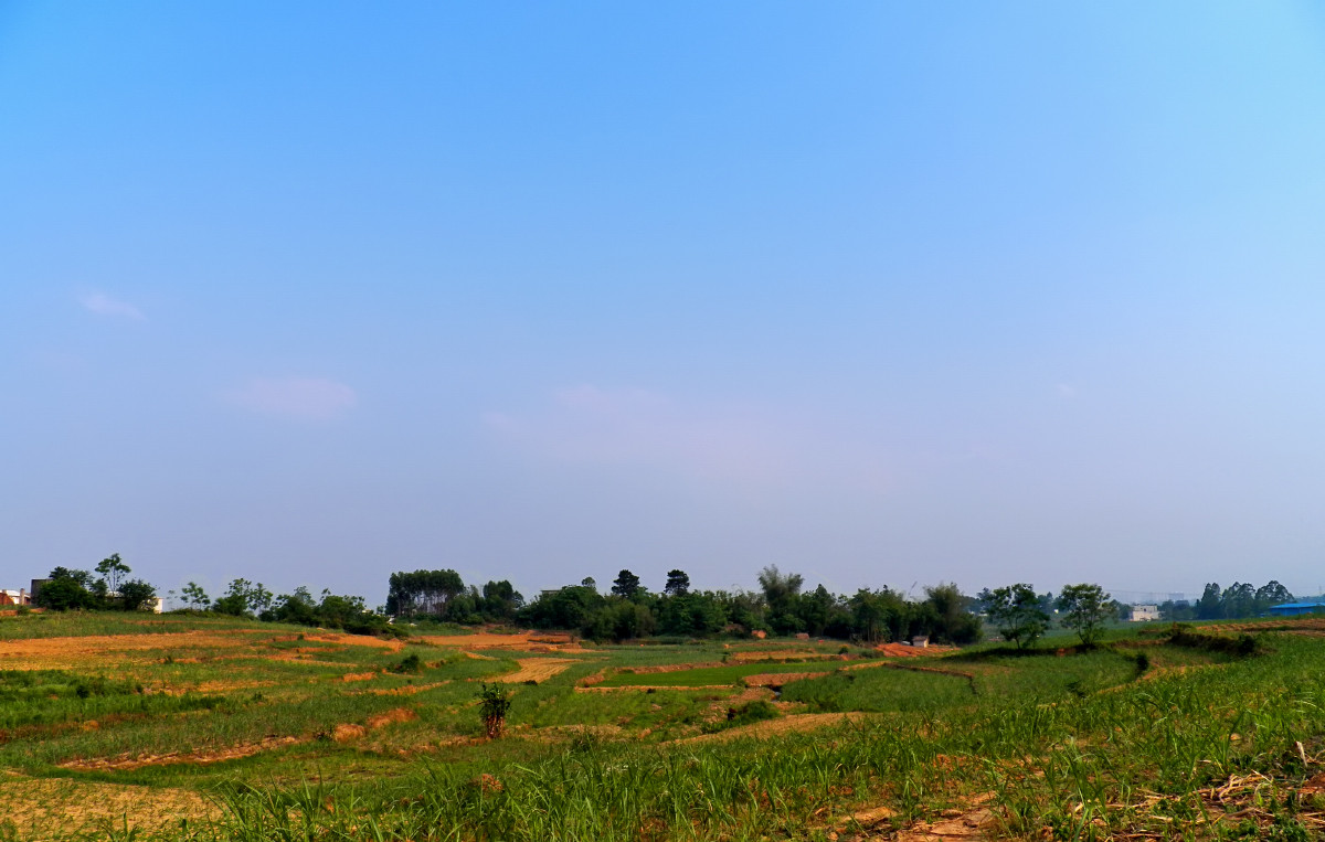 2015柯达Z990---行摄-中关村在线摄影论坛