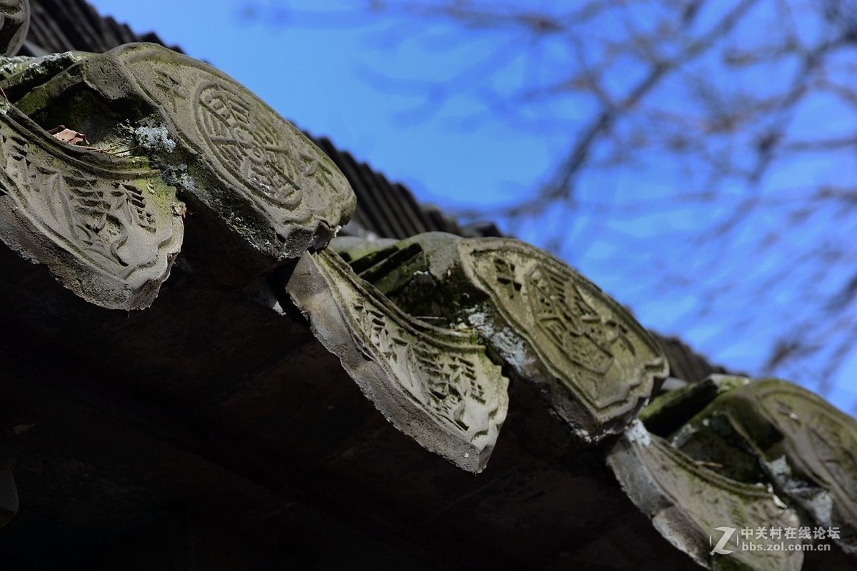 江苏古镇溱潼-中关村在线摄影论坛