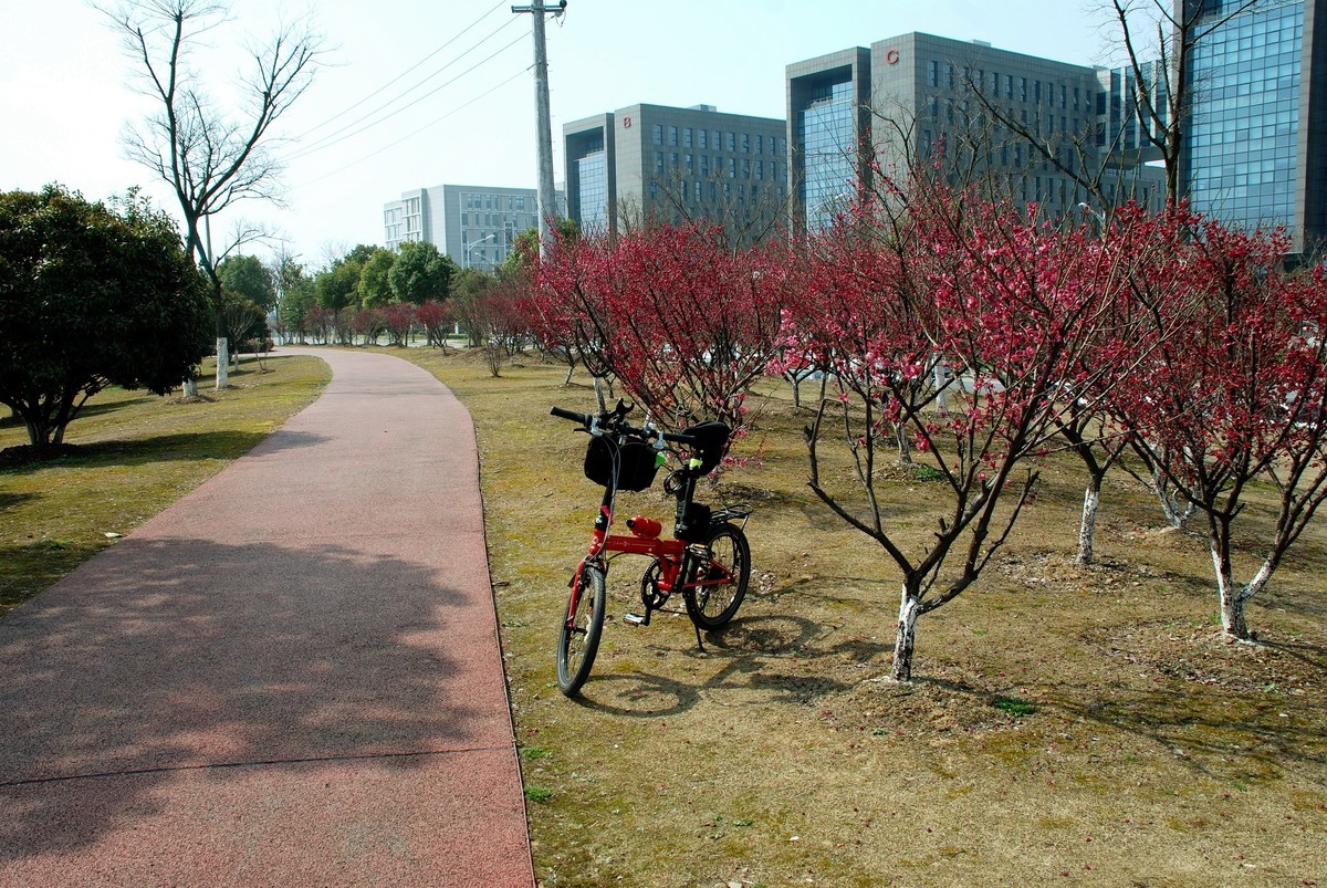 今天早上骑宝马游麒麟湿地公园-中关村在线摄影论坛