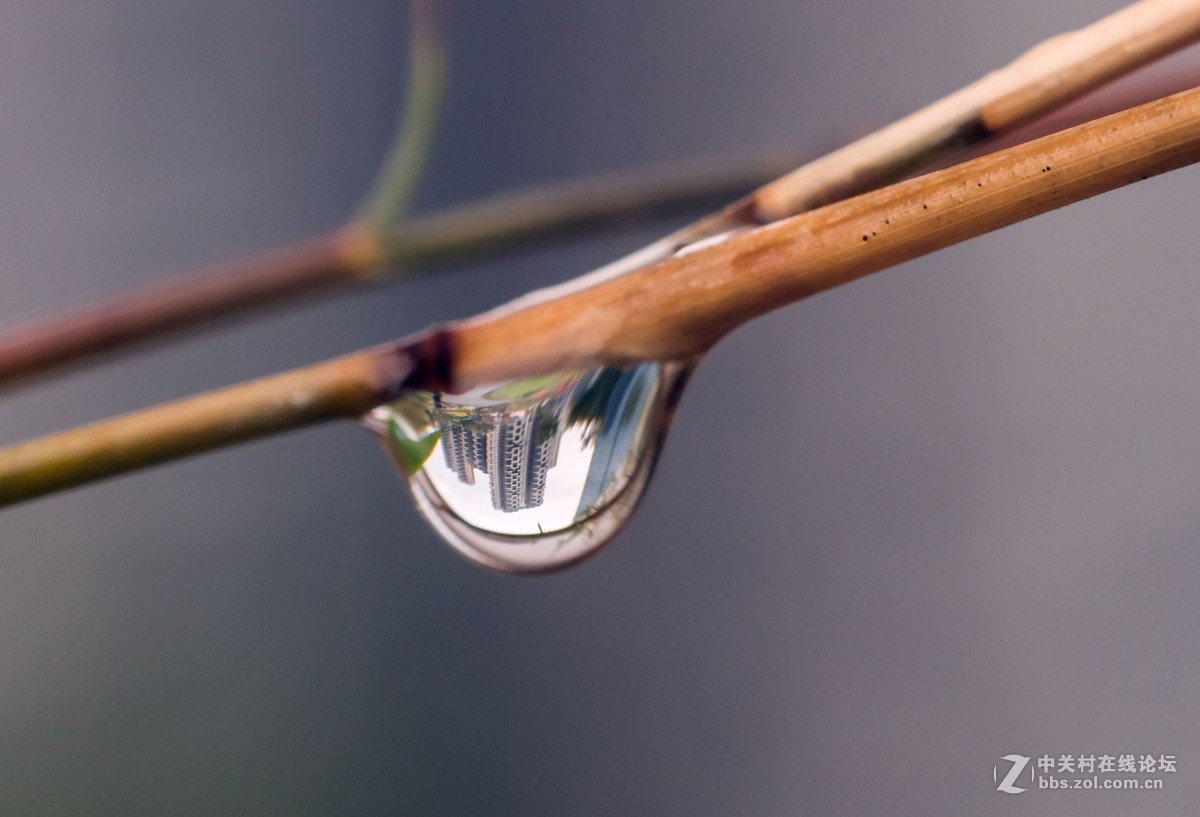 【高清图】水珠里的大世界-中关村在线摄影论坛