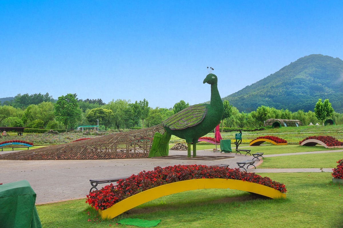 2020-06-03常州花谷奇缘（二）-中关村在线摄影论坛