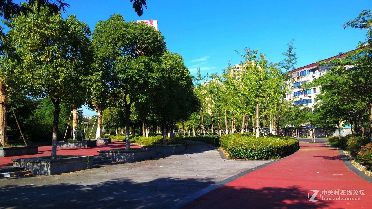 久违的好天气——手机拍摄-中关村在线摄影论坛