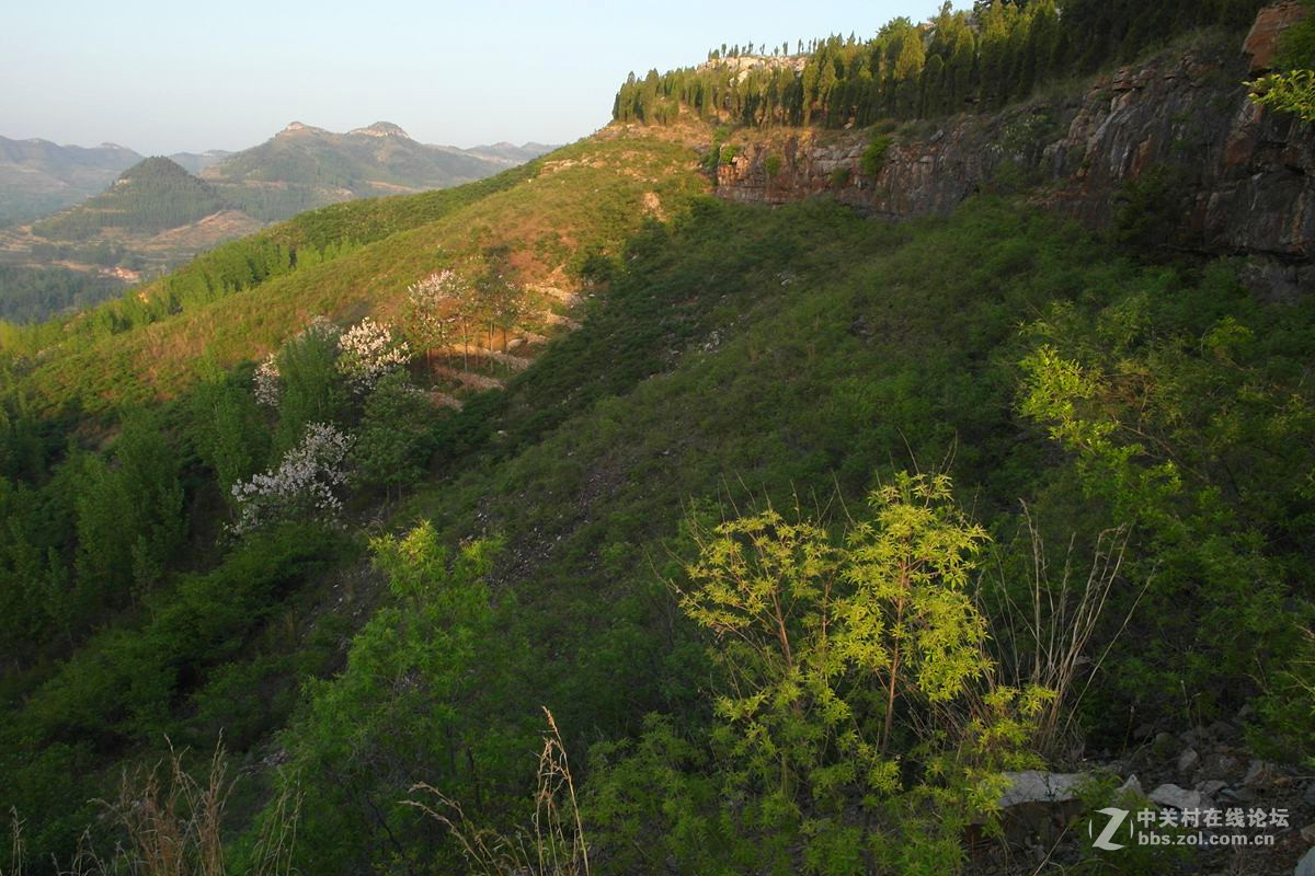 『清新的早晨』123...12P-中关村在线摄影论坛