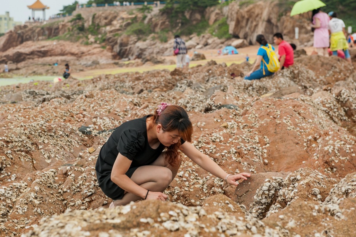 赶海-中关村在线摄影论坛