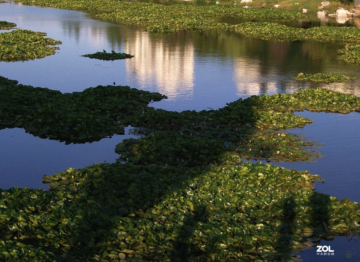 『C663扫街』123...15p-中关村在线摄影论坛