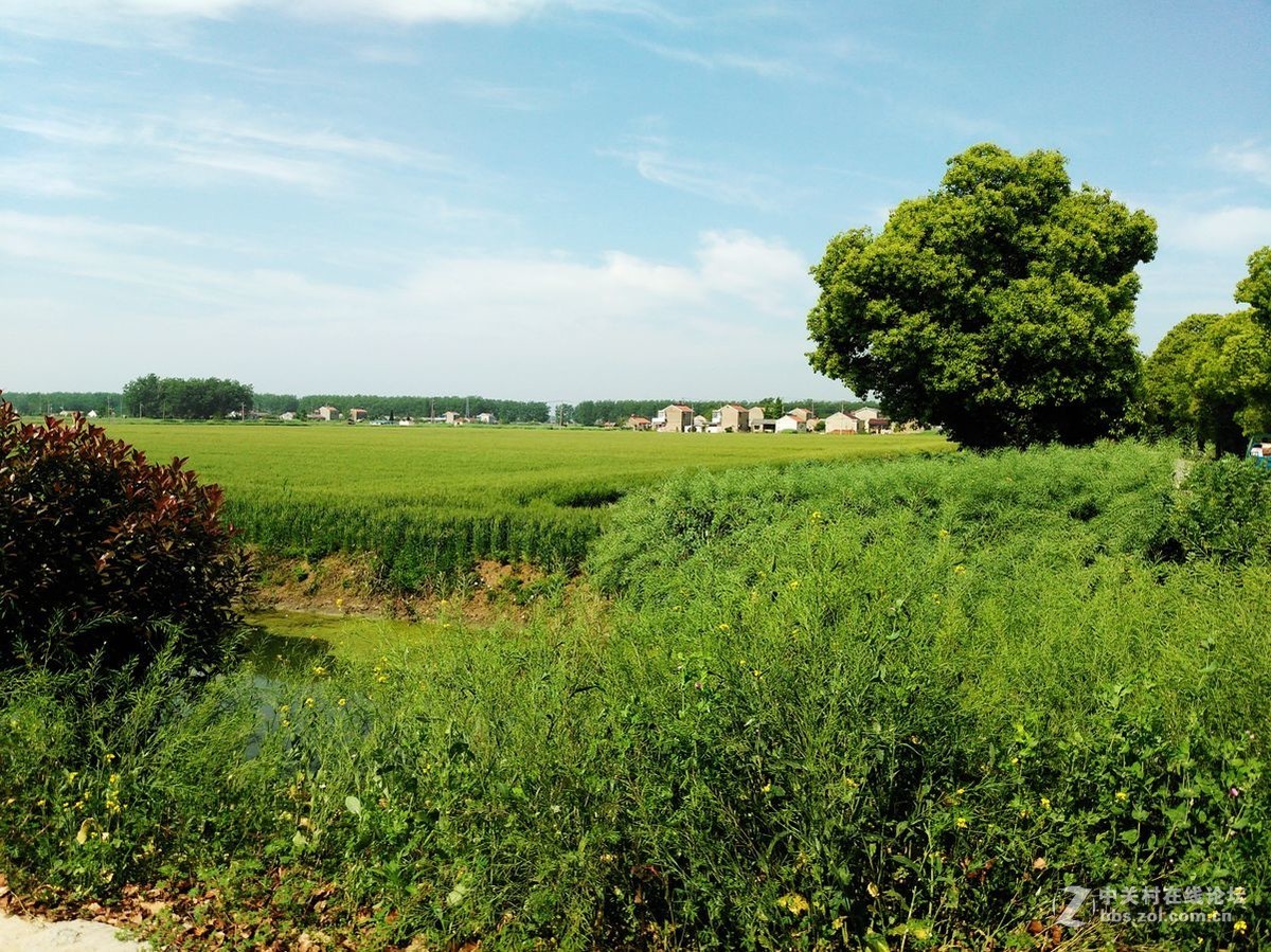 五一节回老家拍摄乡村风光【256】-中关村在线摄影论坛