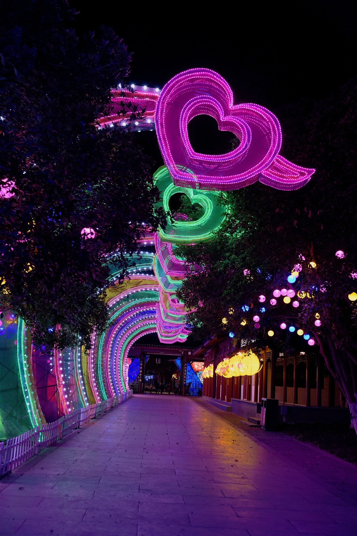 白鹭洲公园灯展-中关村在线摄影论坛