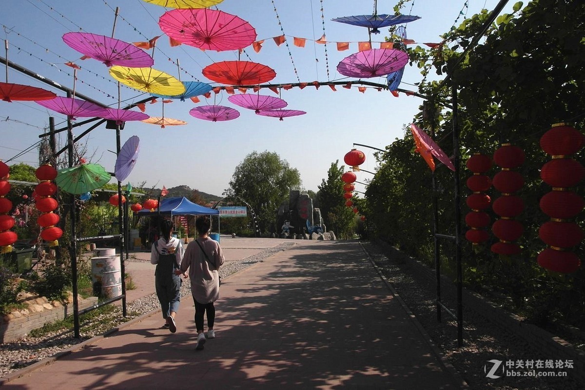 『山东日照沁园春』123...13P-中关村在线摄影论坛