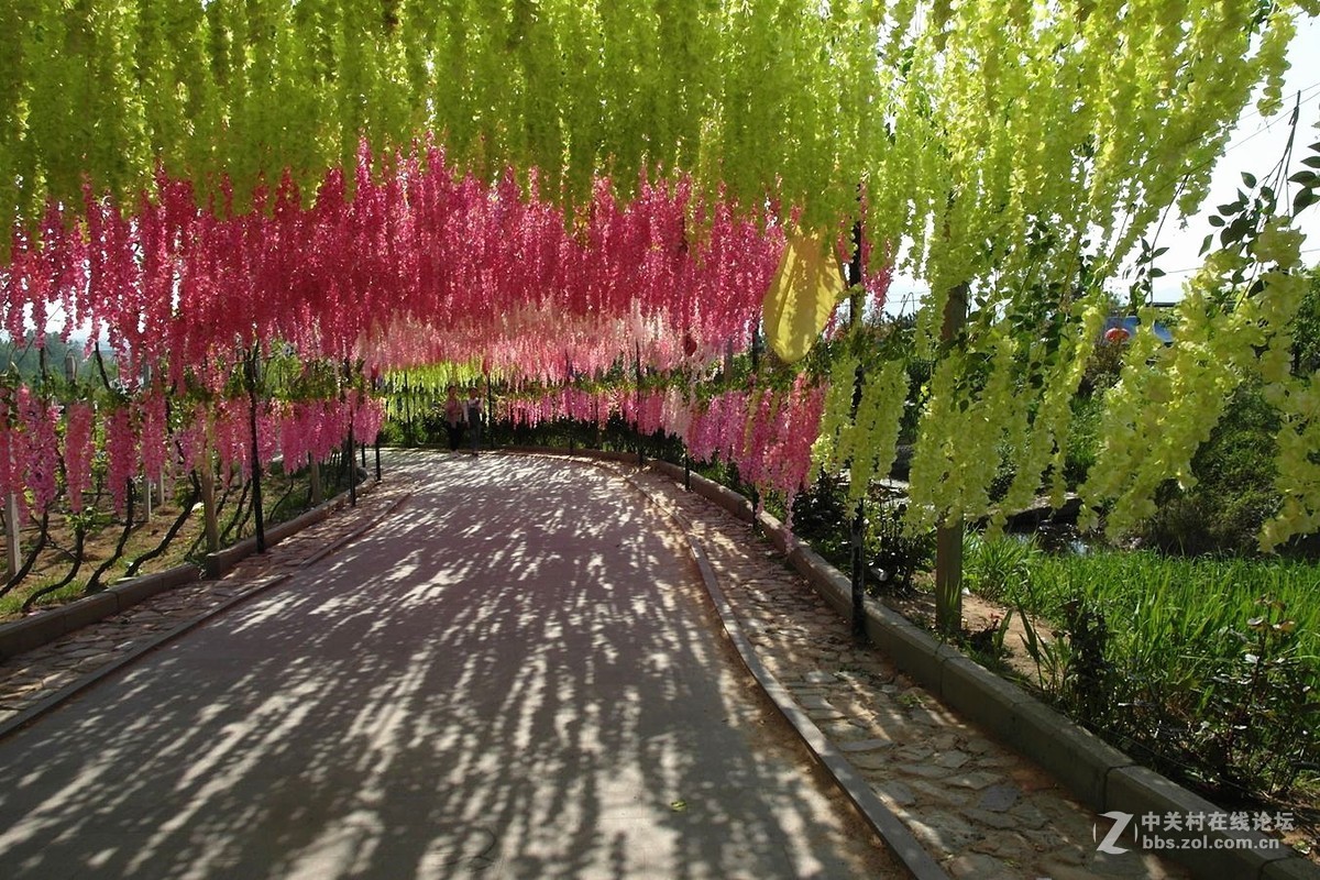 『山东日照沁园春』123...13P-中关村在线摄影论坛