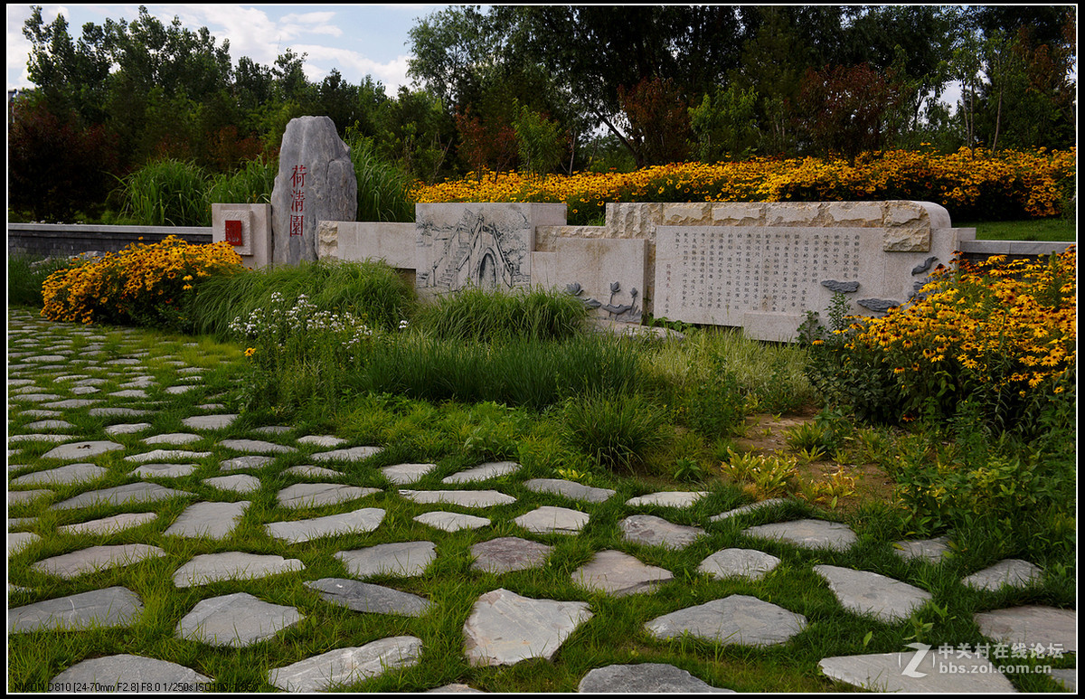 荷清园-中关村在线摄影论坛