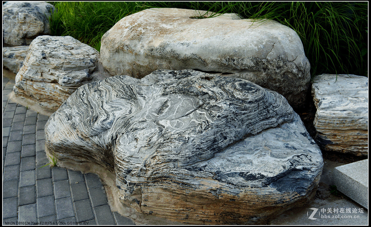 荷清园-中关村在线摄影论坛