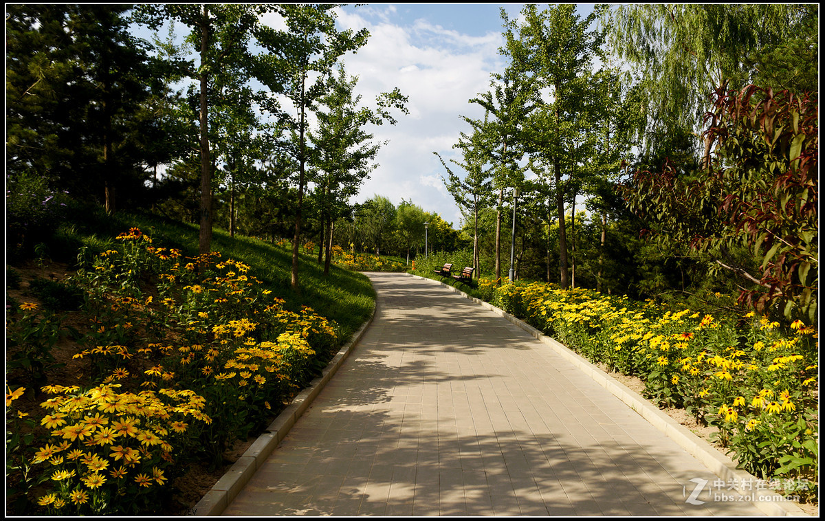 荷清园-中关村在线摄影论坛