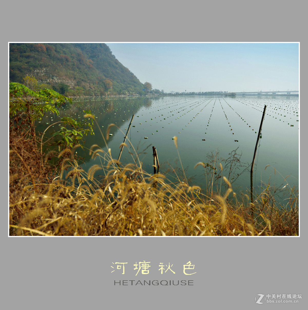 河塘秋色 （尼康D800配24-70mm镜头）-中关村在线摄影论坛