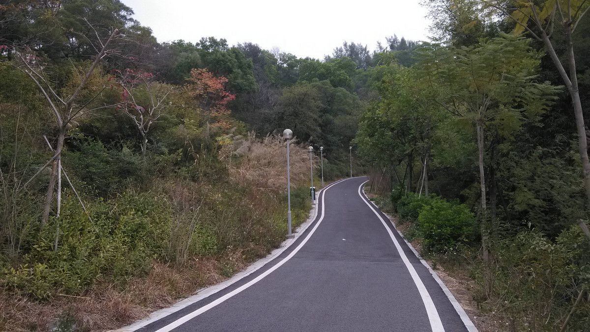 骑行花都湖-中关村在线摄影论坛