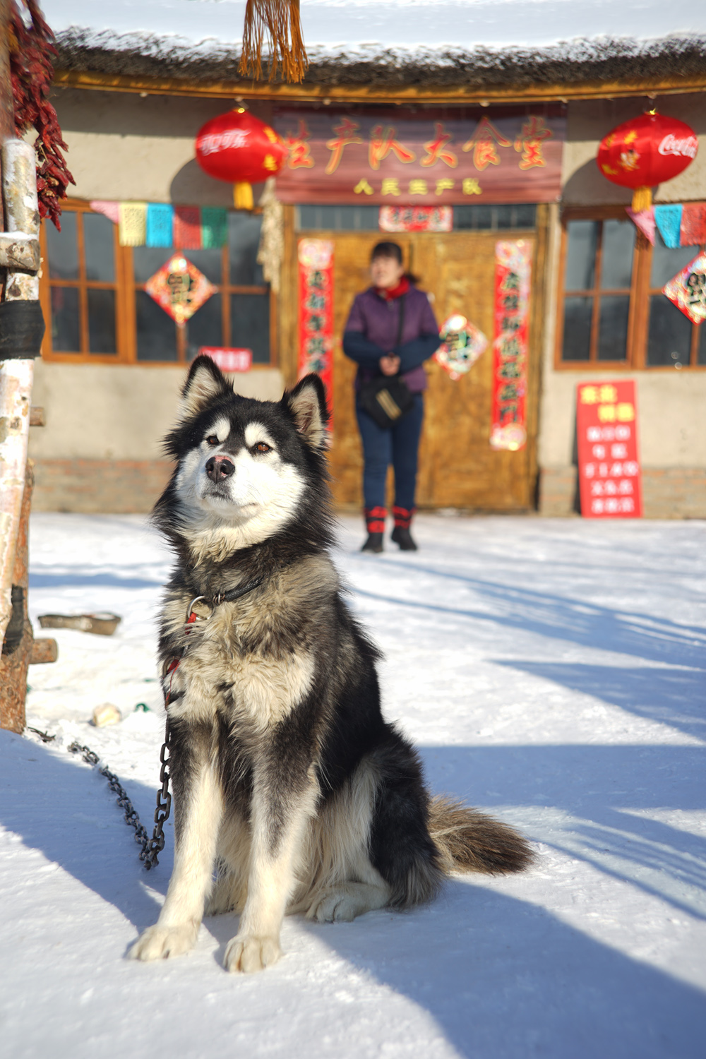 A7M2转接 Cooke 70 2.5T-中关村在线摄影论坛