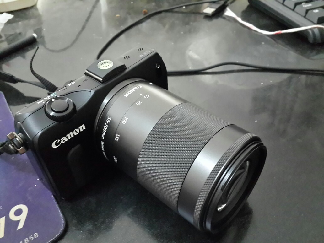 用EOS m打鸟（接EFS55250STM版镜头打鸟）-中关村在线摄影论坛