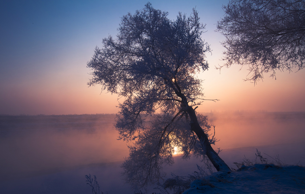 雾凇岛上看日出-中关村在线摄影论坛