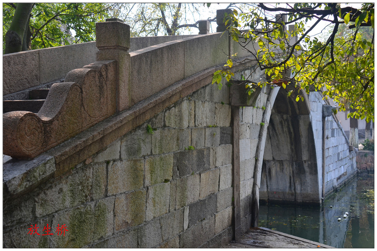 【生态摄影】金泽古镇-中关村在线摄影论坛