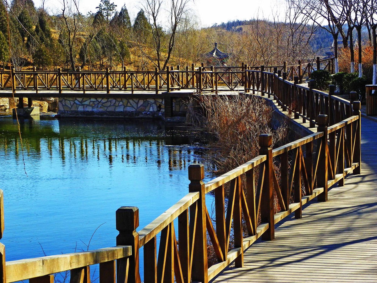 腊八-最美的冬天-中关村在线摄影论坛