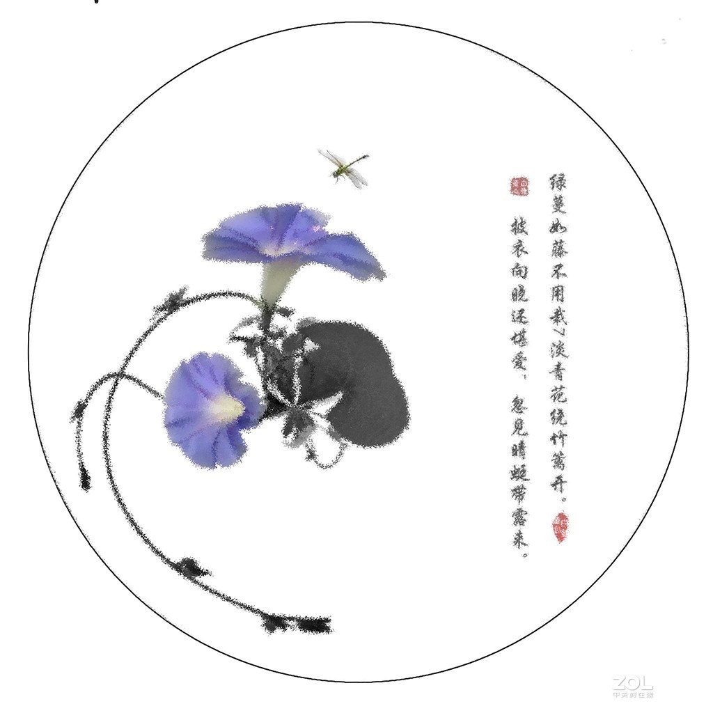 【原创】牵牛花-中关村在线摄影论坛