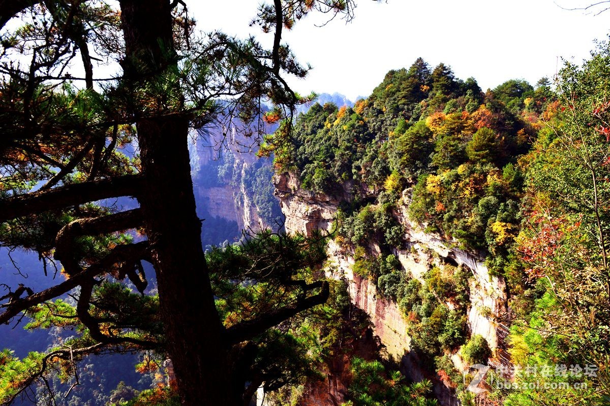 张家界——武陵源随拍-中关村在线摄影论坛