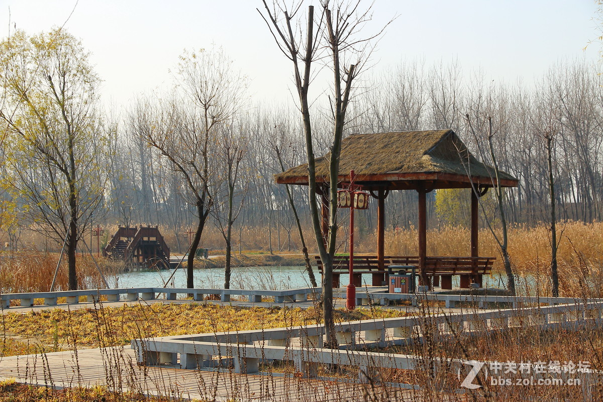 佳能70D（15-85）《洪泽水城》-中关村在线摄影论坛