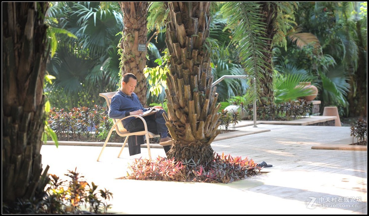 博鳌随拍-中关村在线摄影论坛