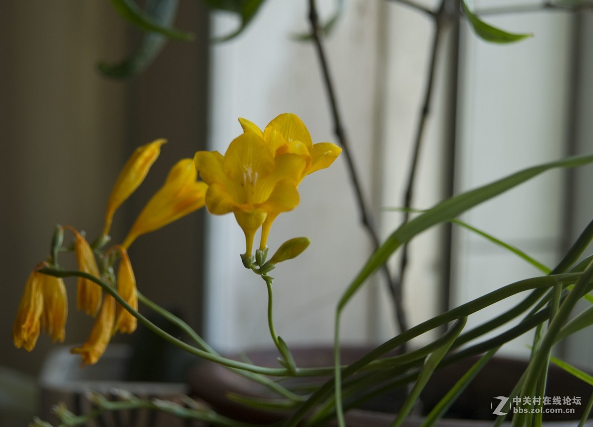 尼康AF24-85F2.8-4D镜头试镜-中关村在线摄影论坛