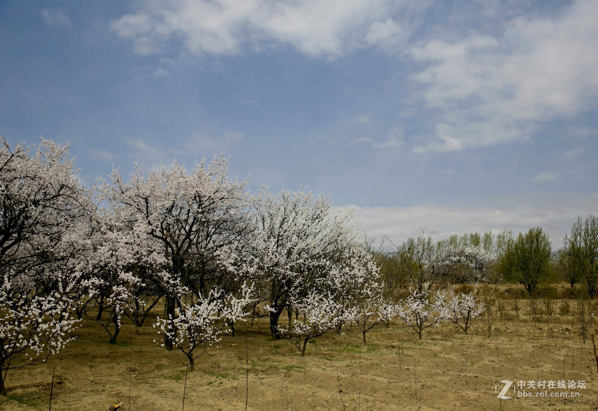 官厅水库-中关村在线摄影论坛